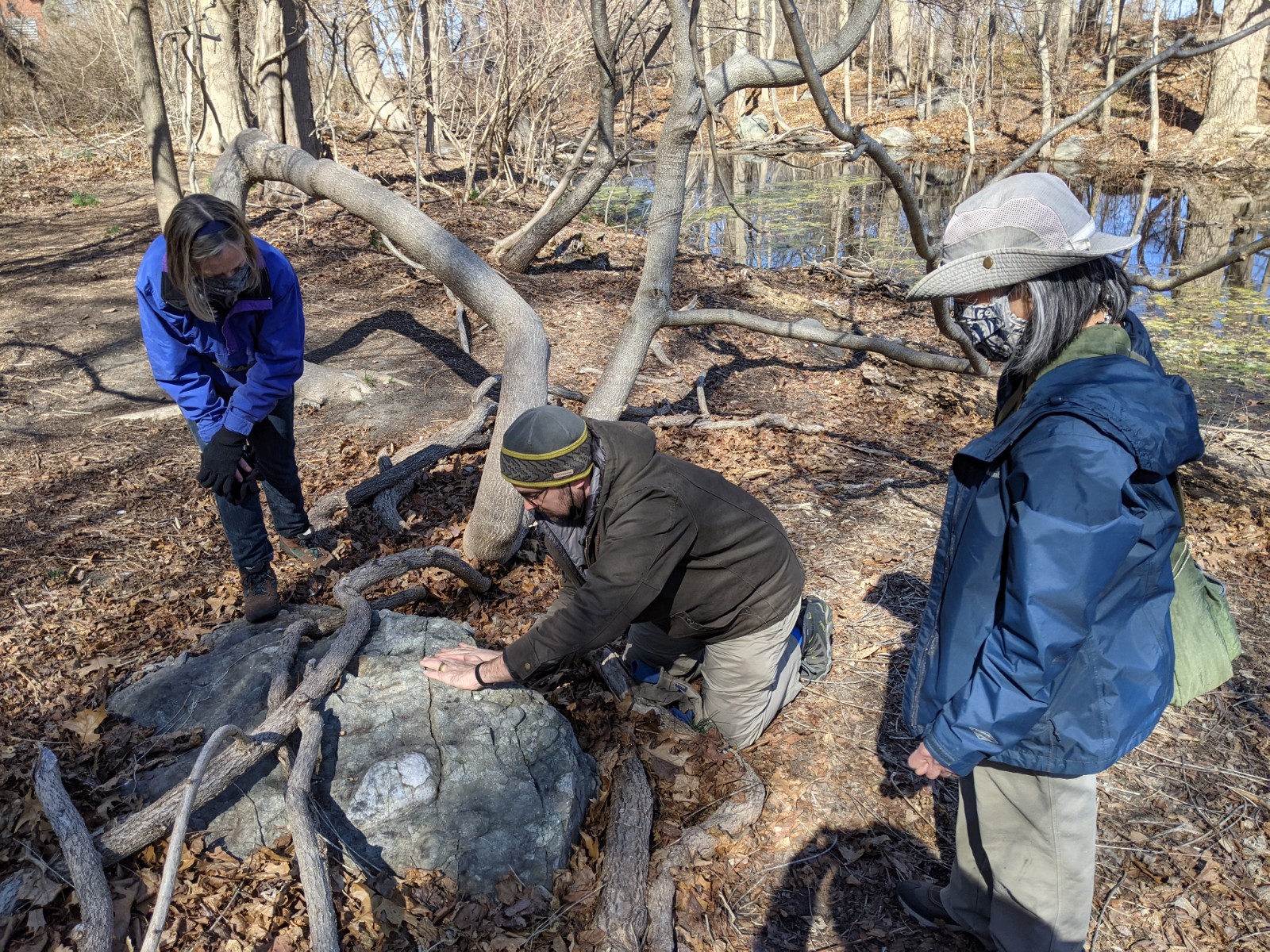 Romancing the Stone | Friends of Salter Grove