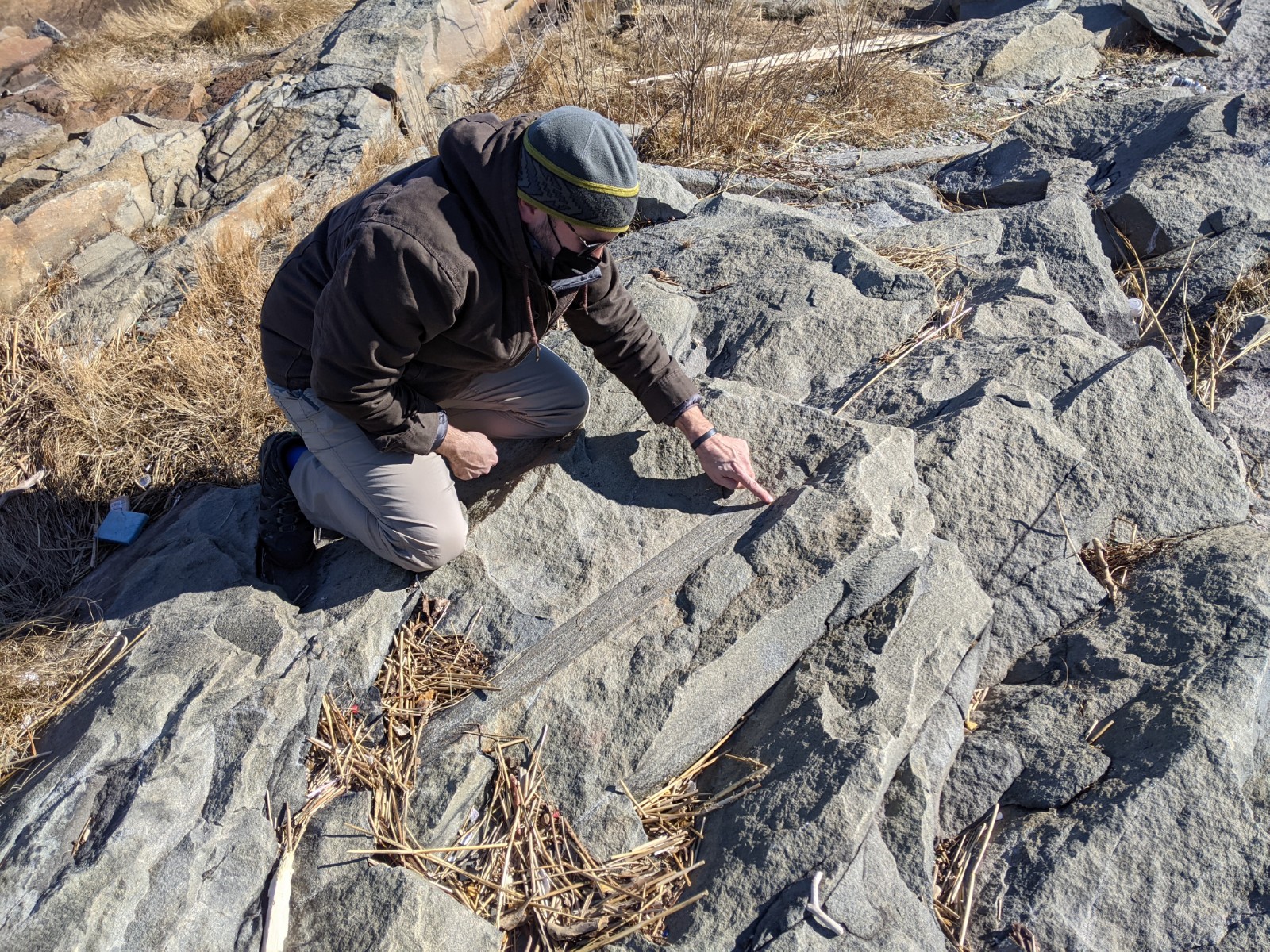 Romancing the Stone | Friends of Salter Grove