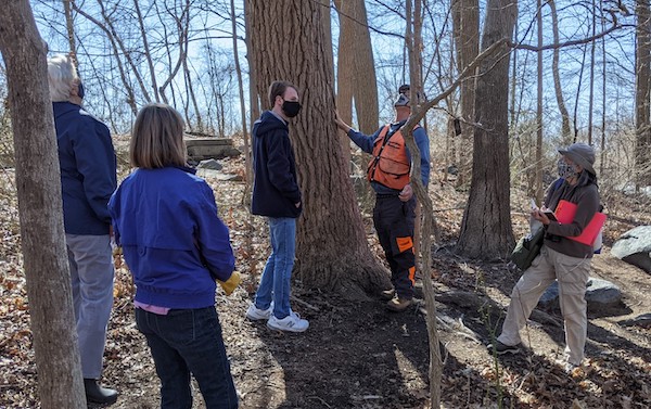 Potential Pre-Colonial Tree Relicts | Friends of Salter Grove
