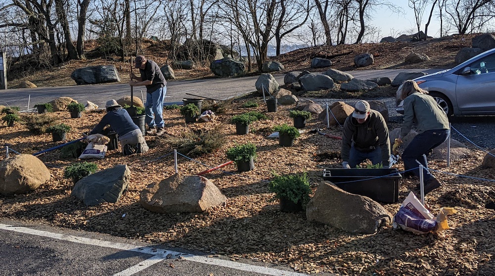 Filling In the Gaps | Friends of Salter Grove